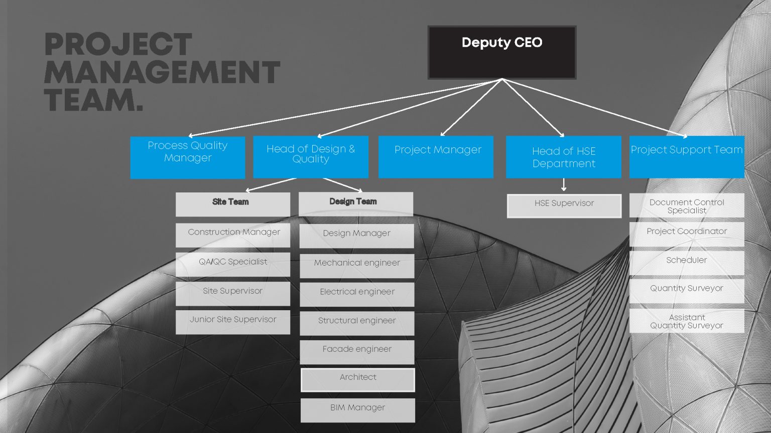 Project Management Team - CMC